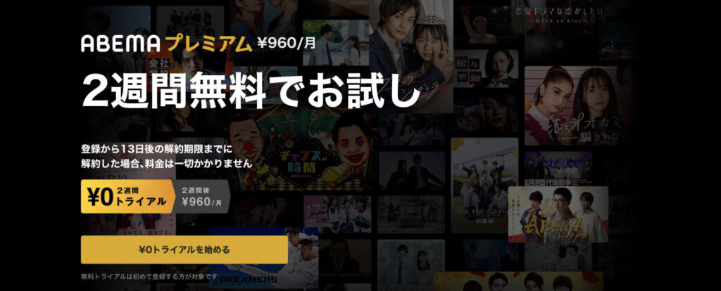 RIZINのPPVの購入方法！値段高い？安く買う方法は？携帯やテレビでおすすめの見る方法を解説